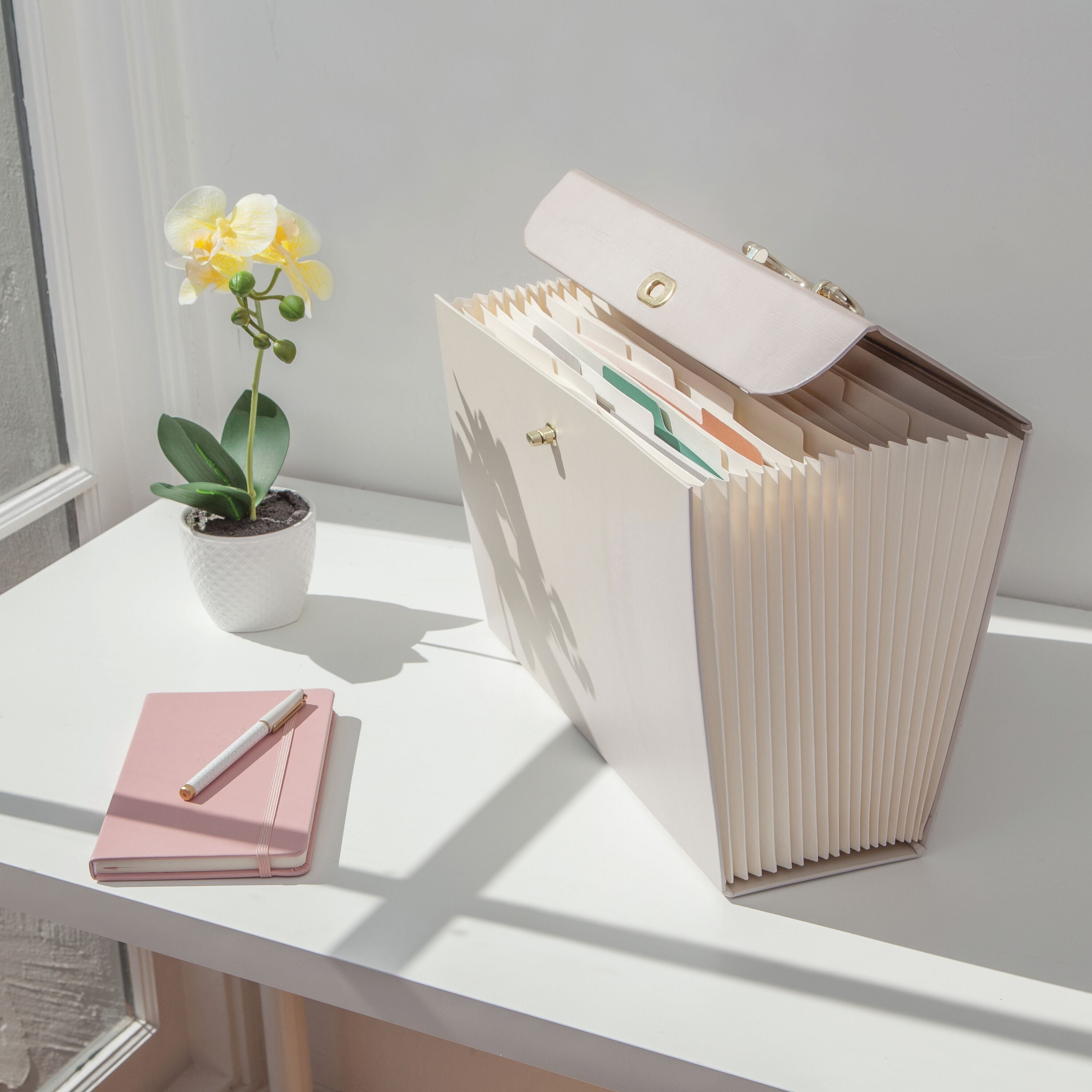 Expandable File Folders